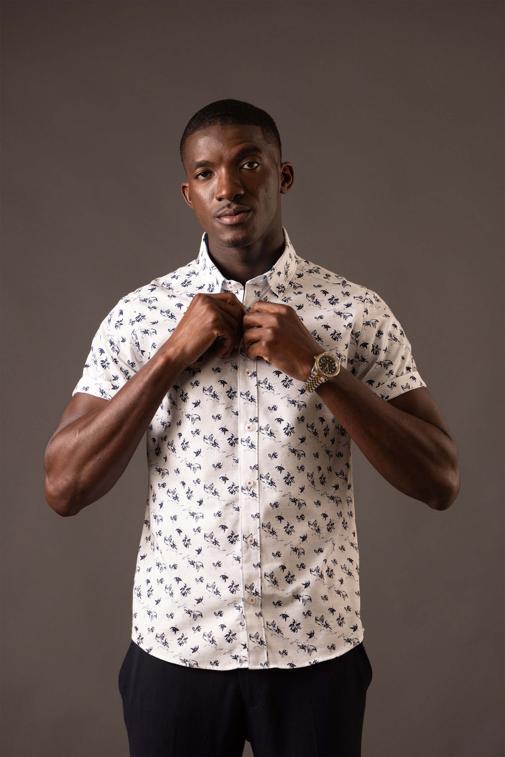Moderna – Mark Anthony Collections